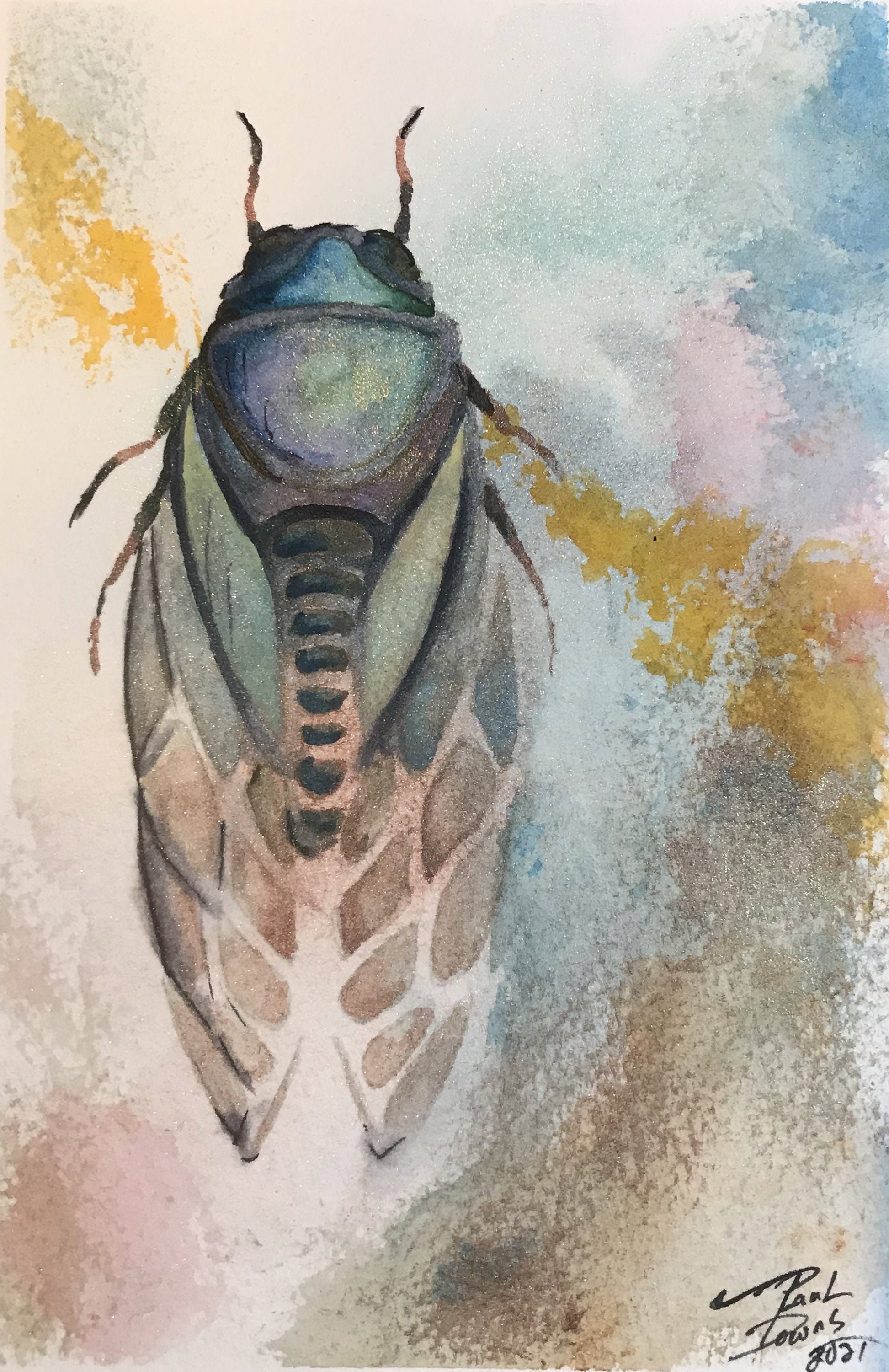 Cicada by Paul Downs Insect Art Wall Art Cicada Watercolor | Etsy