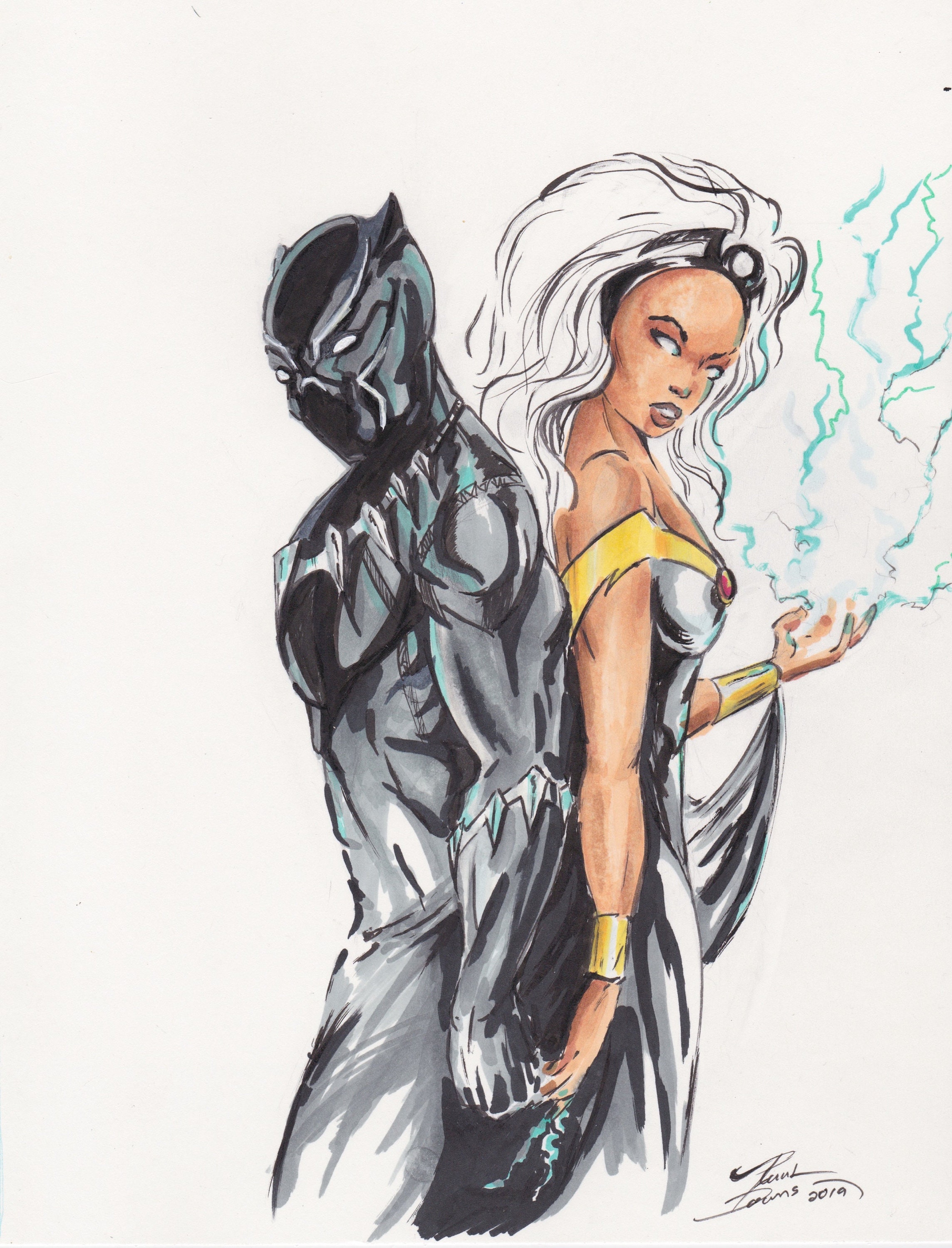 Black Panther And Storm Costumes