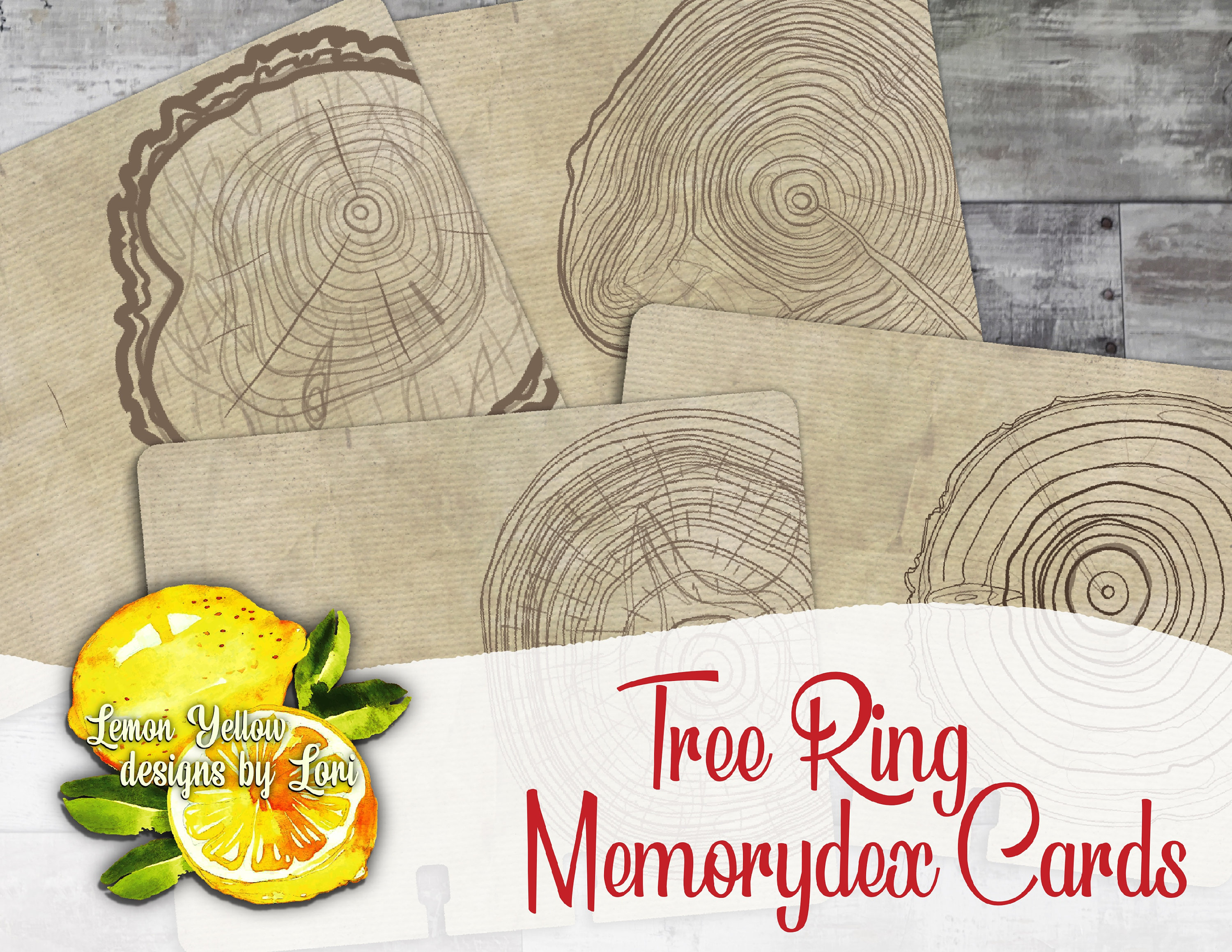 Printable Rolodex Cards Memorydex Bibledex for Bible | Etsy