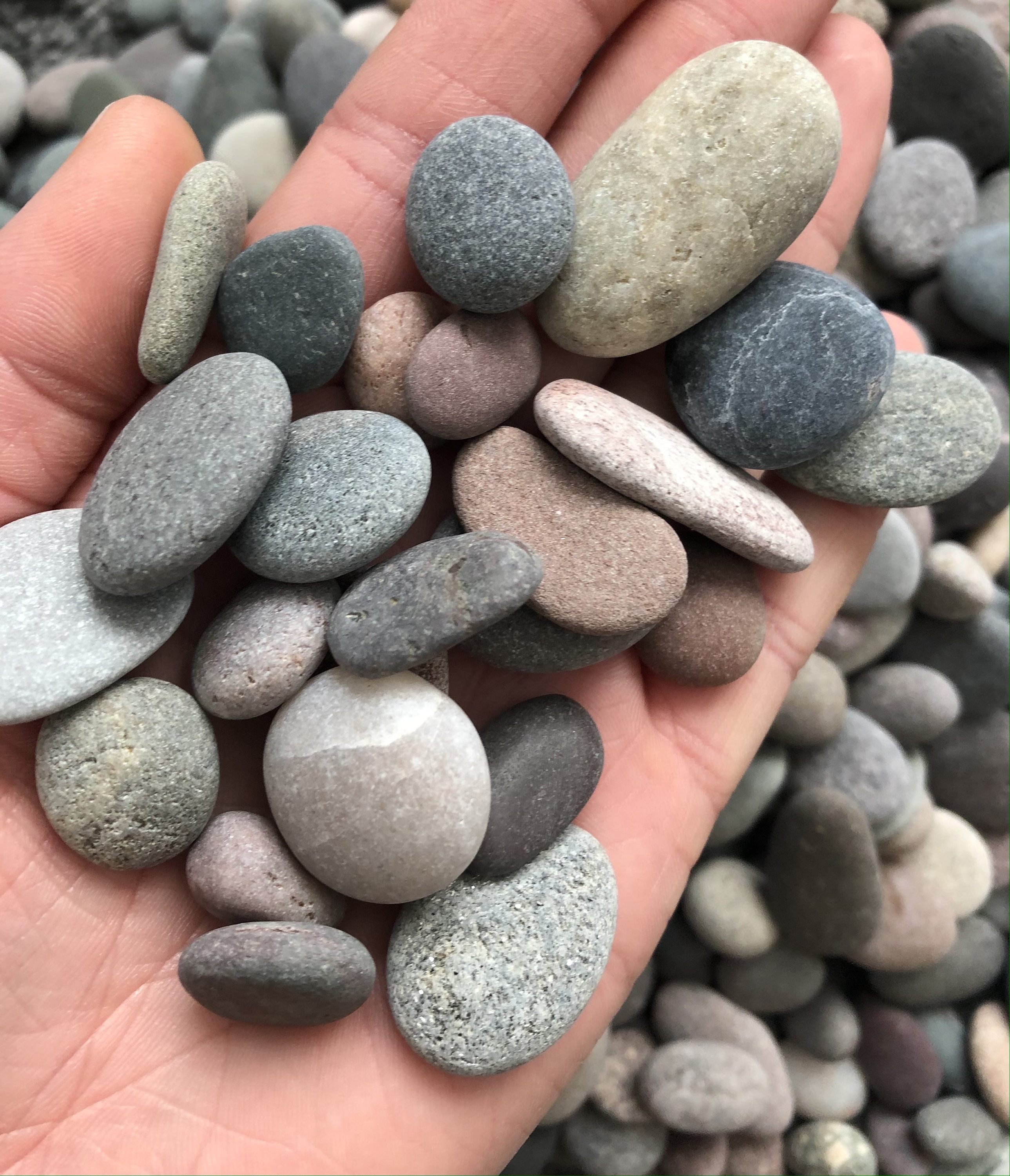 Pebble Art Supply Mixed Pebbles Sea Pebbles Round Oval Mixed | Etsy