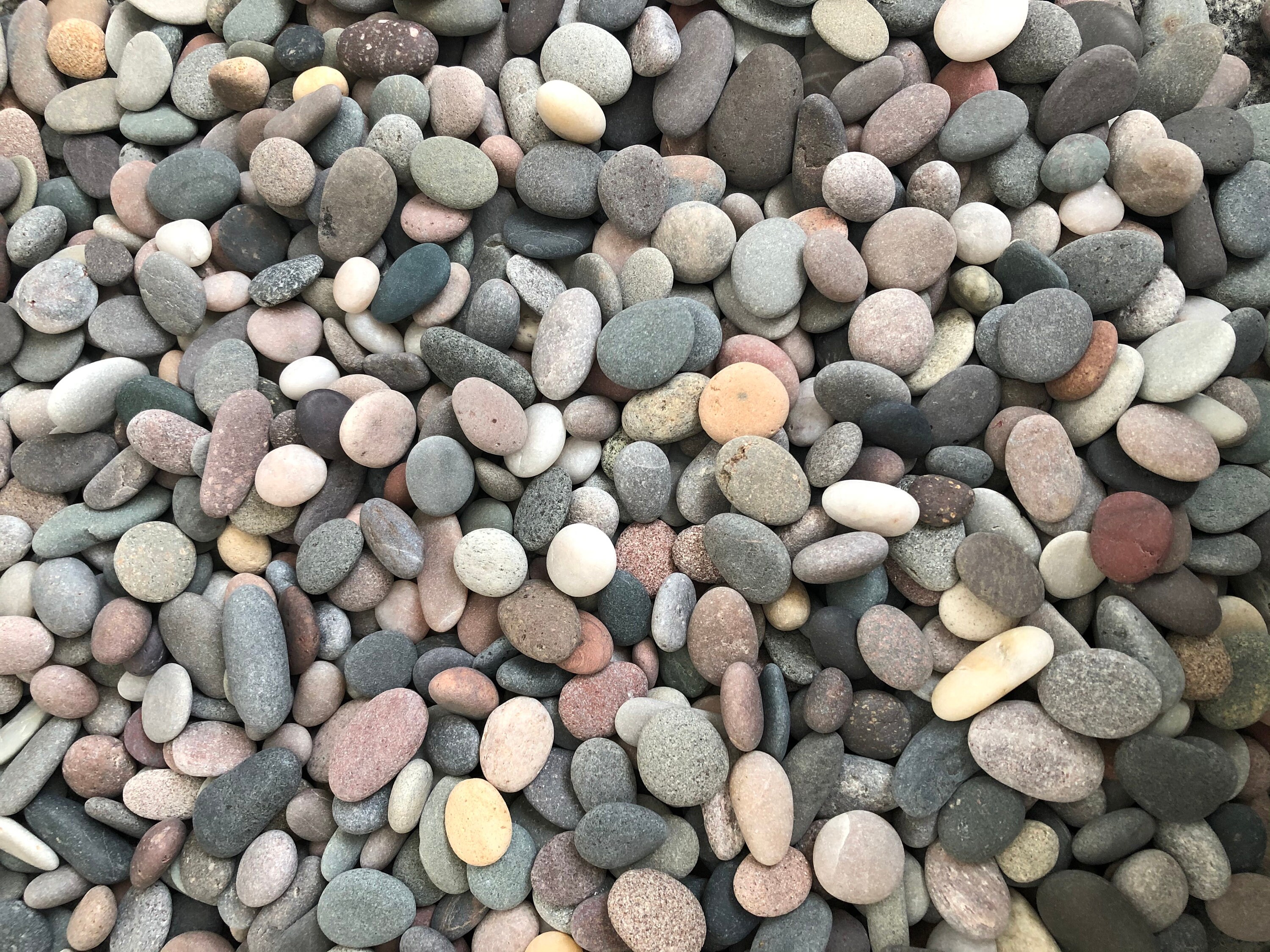 Pebble Art Supply Mixed Pebbles Sea Pebbles Round Oval Mixed | Etsy