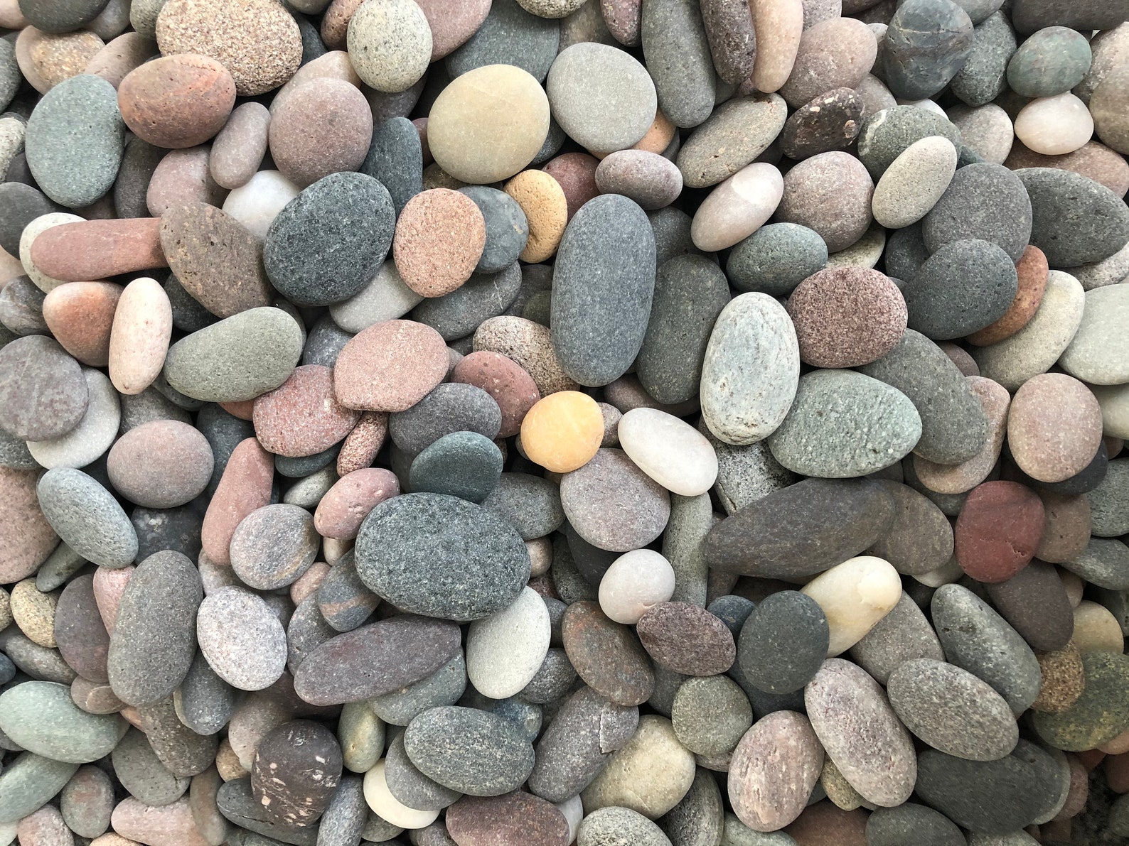 Pebble Art Supply Mixed Pebbles Sea Pebbles Round Oval Mixed | Etsy