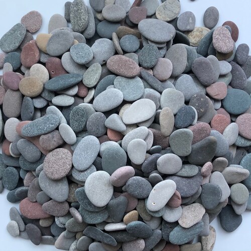 Pebble Art Supply Mixed Pebbles Sea Pebbles Round Oval Mixed | Etsy