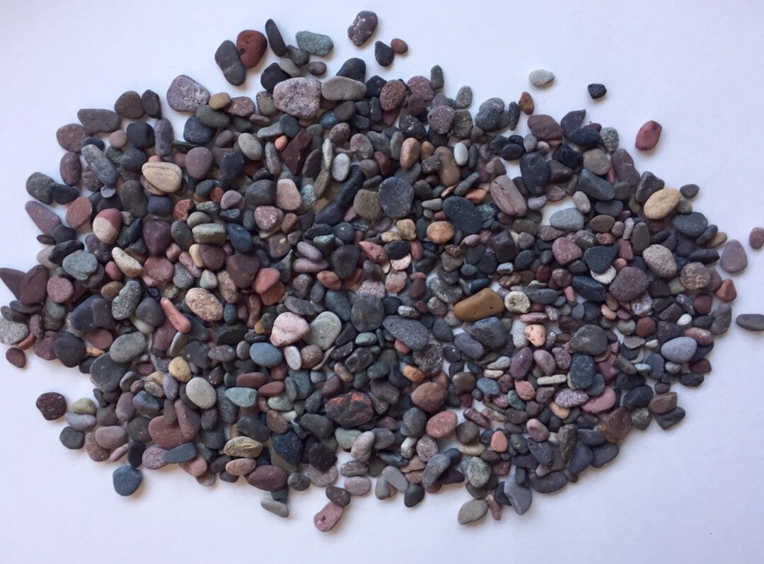 Tiny Pebbles for Pebble Art Pebble Art Supply Beach Pebbles Small ...