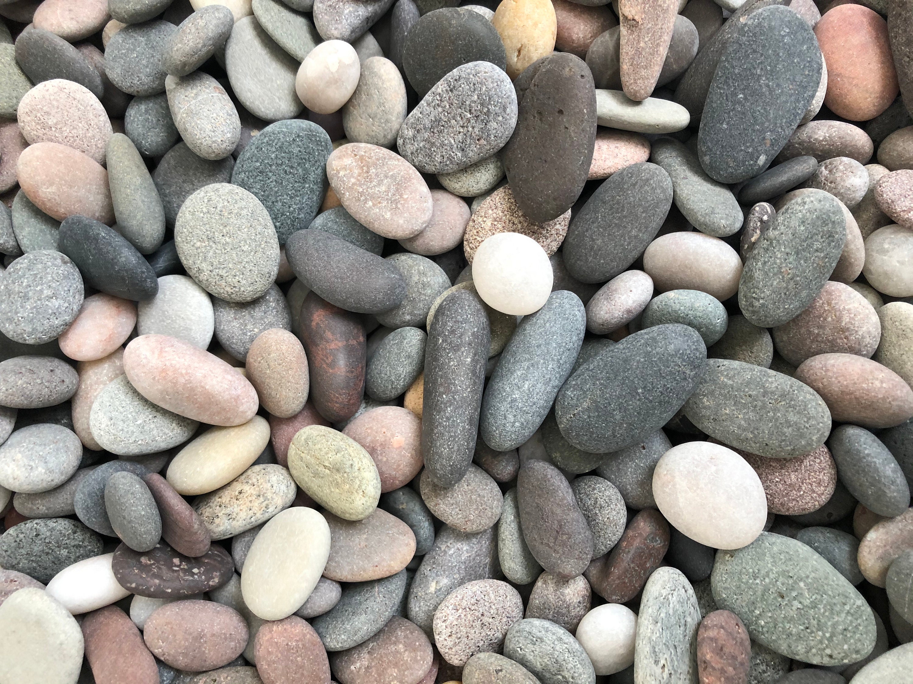 Pebble Art Supply Mixed Pebbles Sea Pebbles Round Oval Mixed | Etsy
