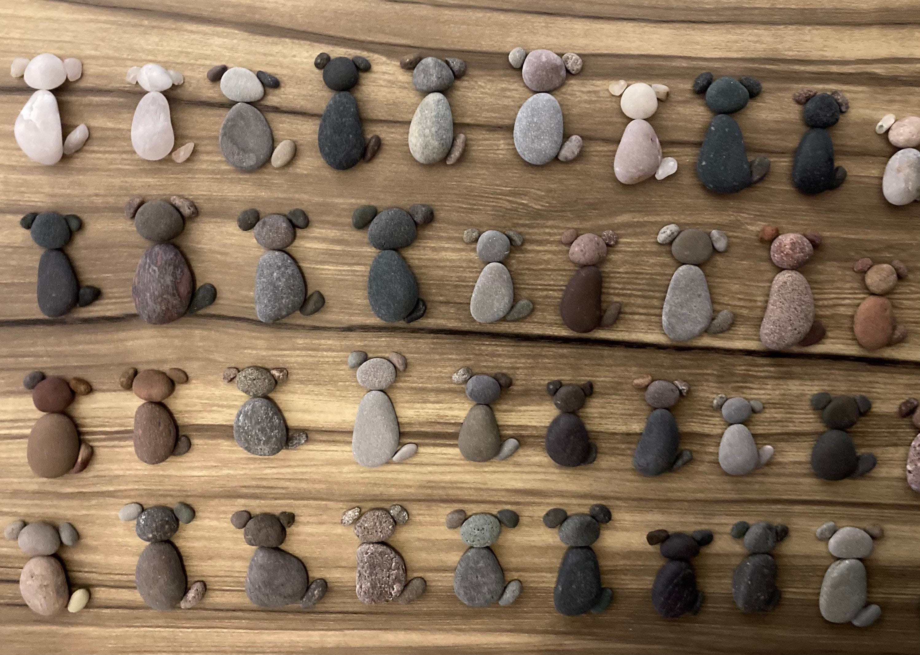 5 Pebble Dogs Pebble Art Supply Pebble Dogs Pebble Bodies - Etsy UK