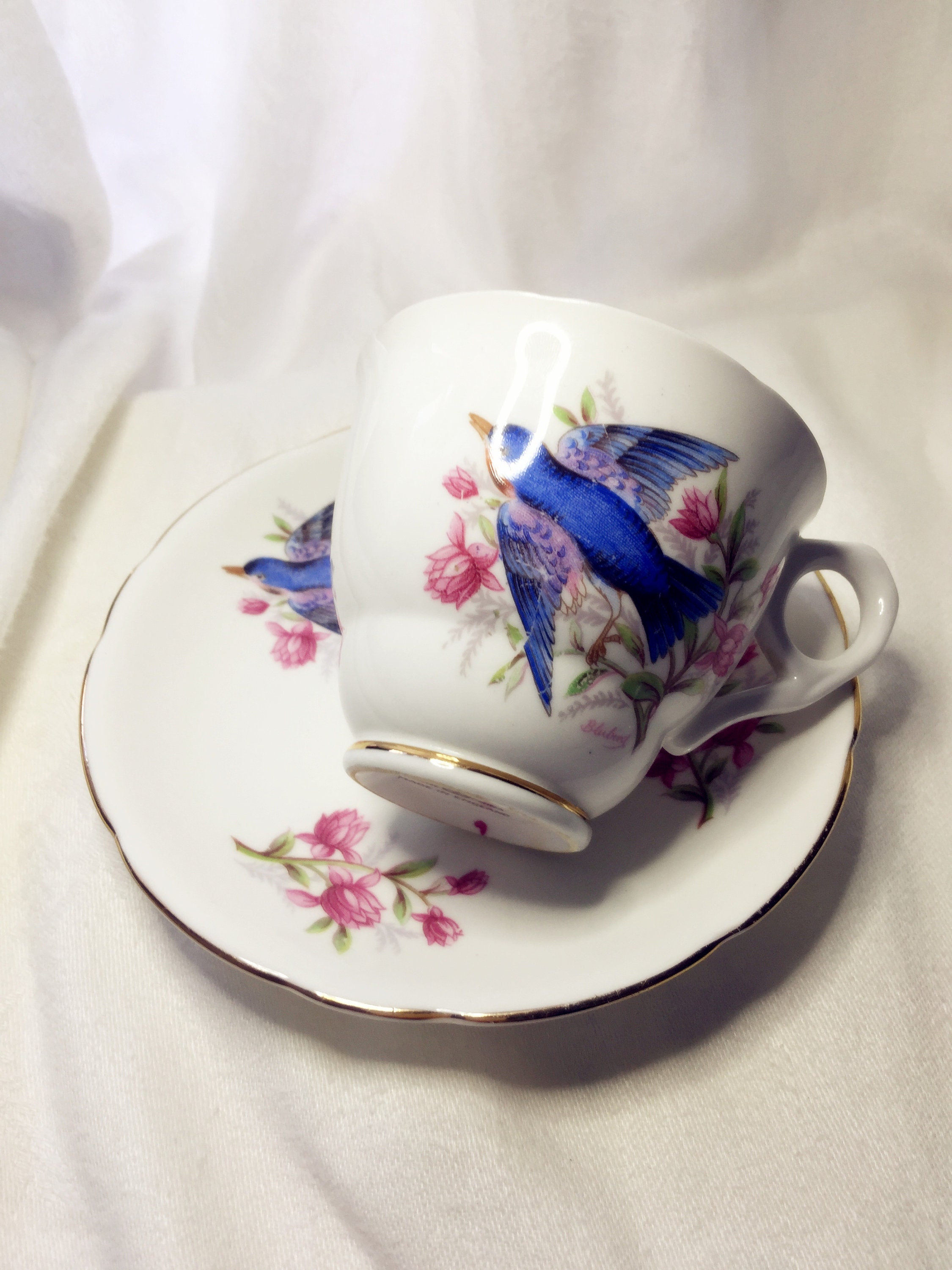 Royal Stafford Bird Series 'blue Bird' Tea Cup and Saucer Set - Etsy