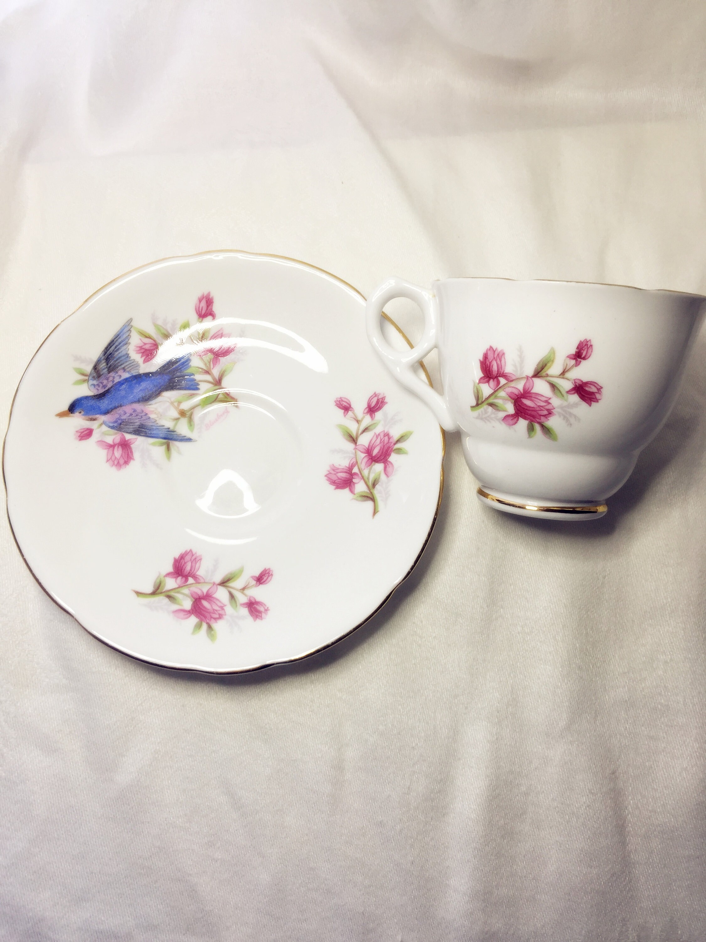 Royal Stafford Bird Series 'blue Bird' Tea Cup and Saucer Set - Etsy