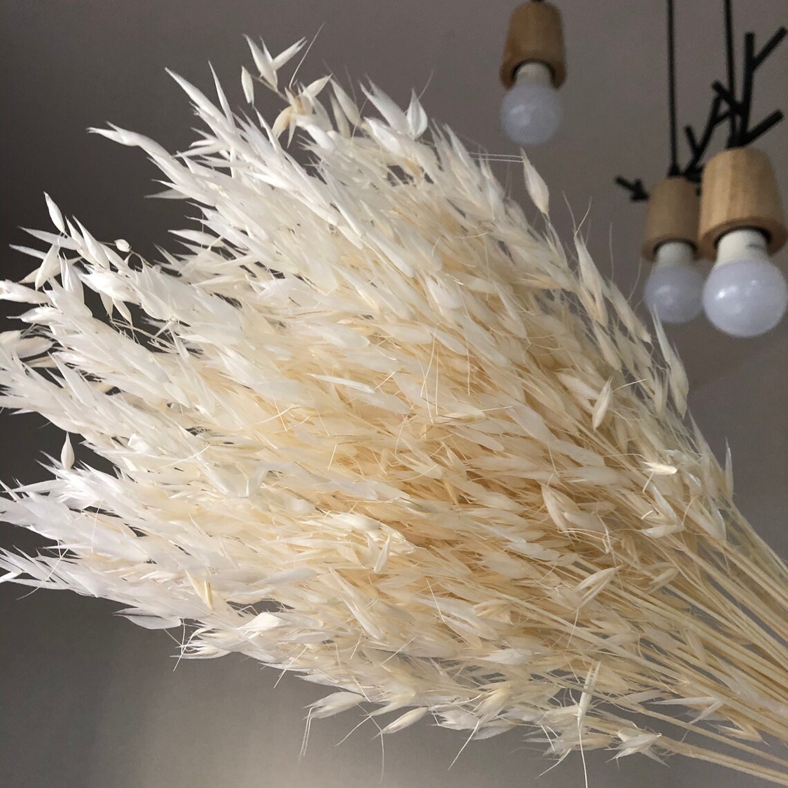 About 50 Stems of Dried Oat/avena Sativa Flowers White - Etsy