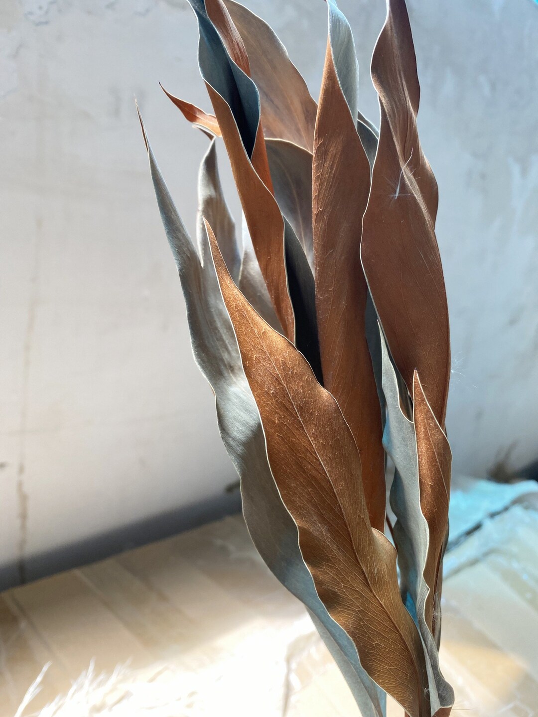 Dried Magnolia Leaves Natural - Wedding Decor - Rustic Bouquets ...