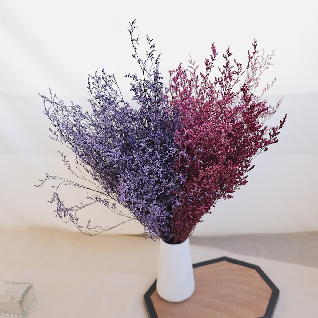 Bunch of Caspia Preserved Flowers Limonium Stems, Dried Flower ...