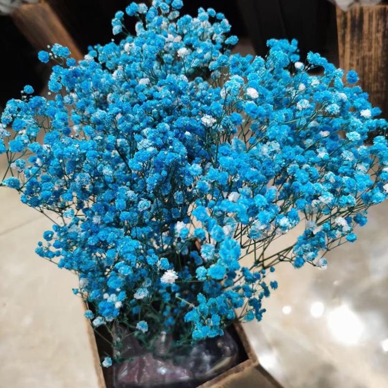 Natural Baby's Breath Flower Gypsophila Bouquet Home - Etsy