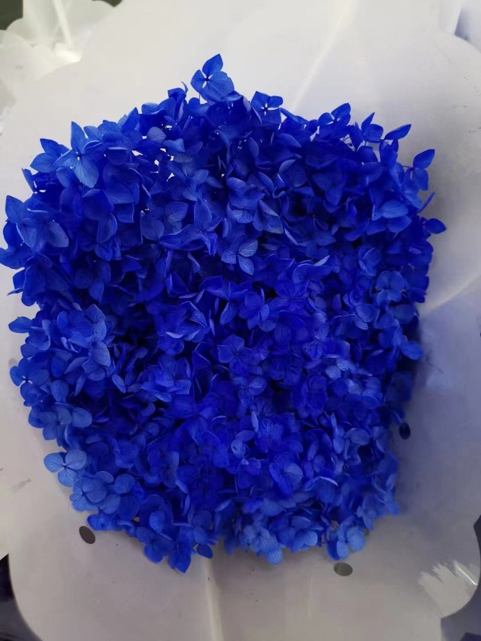 Burnt Orange Preserved Hydrangeas | Dried Hydrangea | Orange Flower ...