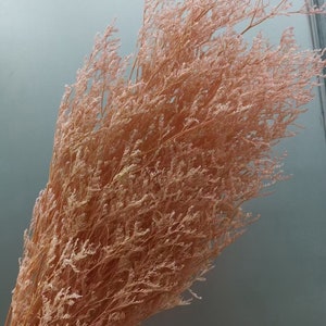 Preserved Caspia Preserved Caspia, Dried Flowers Bunch, Dried Bunch ...