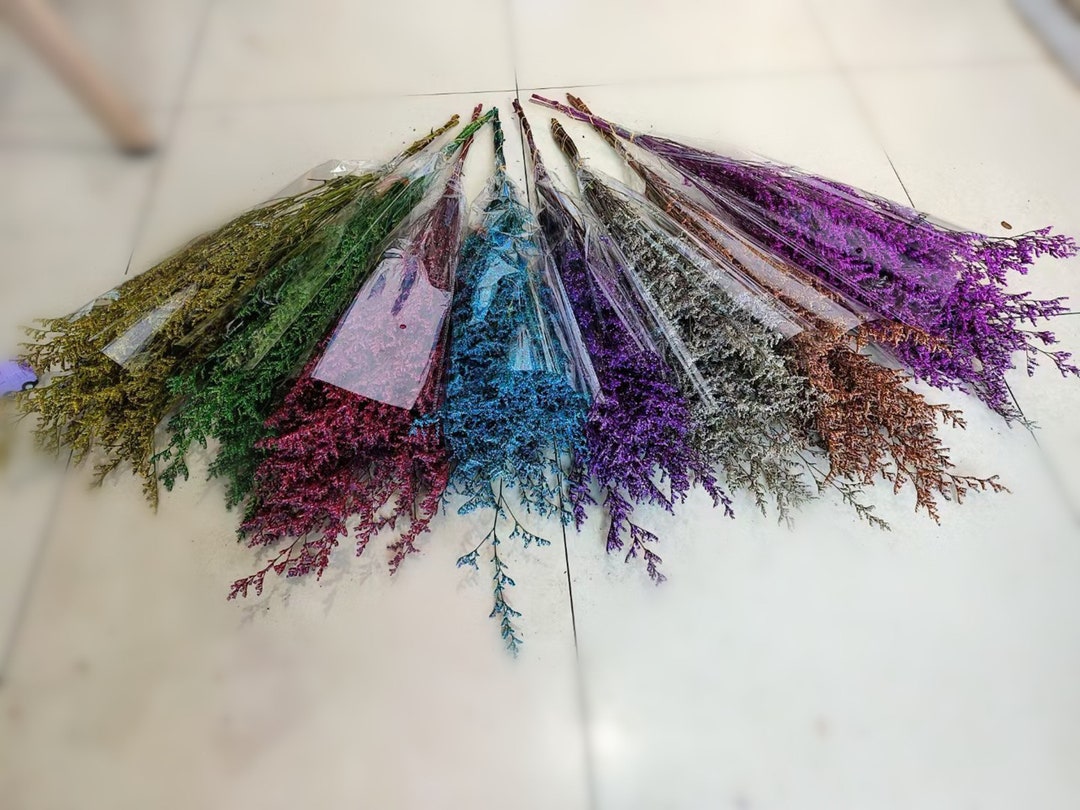 Bunch of Caspia Preserved Flowers Limonium Stems - Etsy