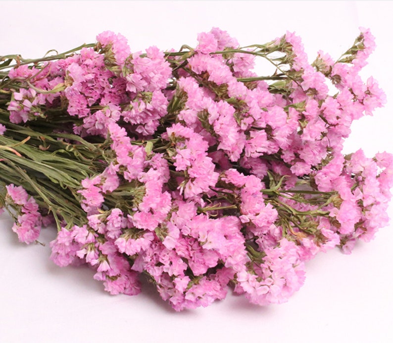 Preserved Statice Pink, Lavender and White Colors Dried Flower Bouquet ...