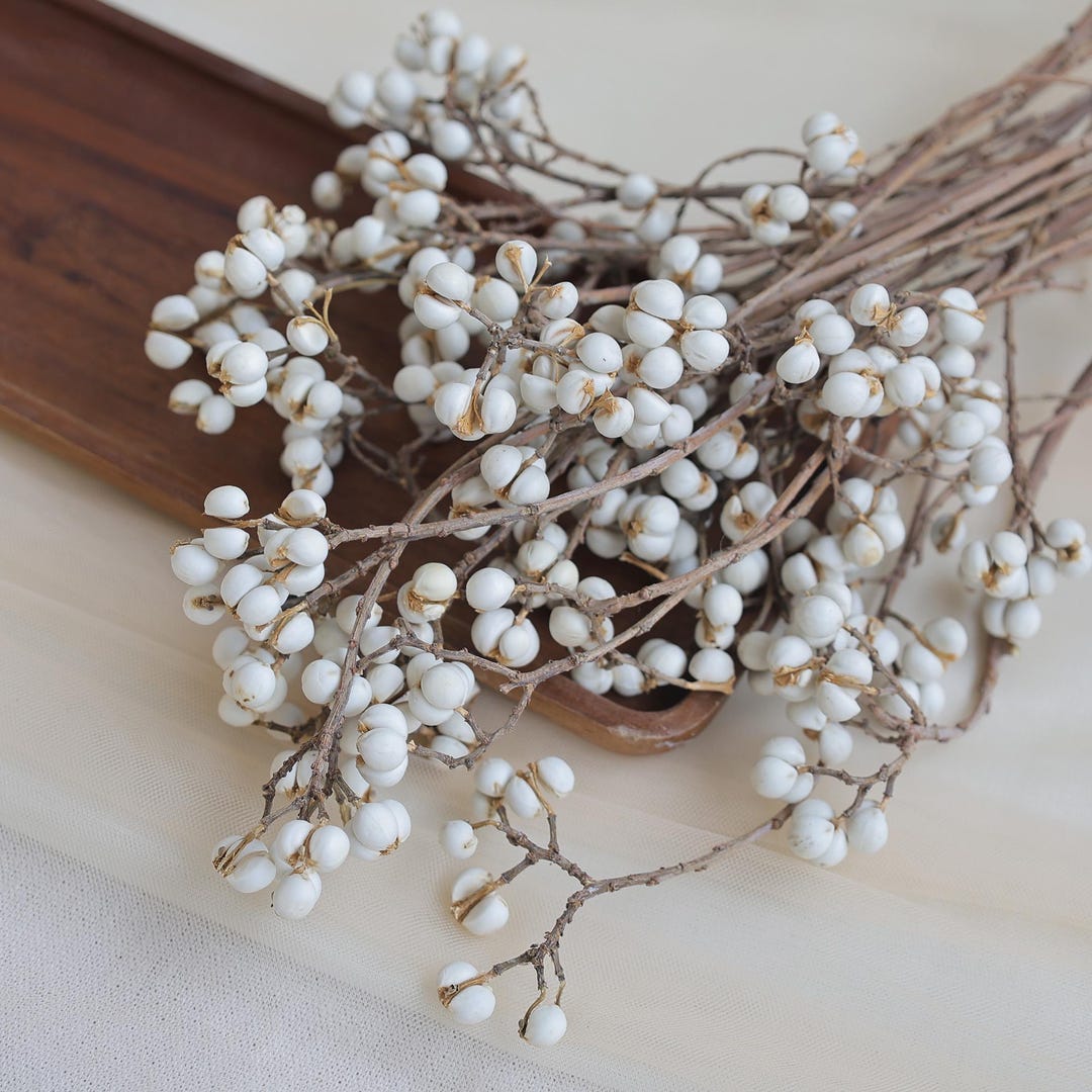 Dried Tallow Berry Bunch, Natural Tallow Berries Bundle, Dried Small ...