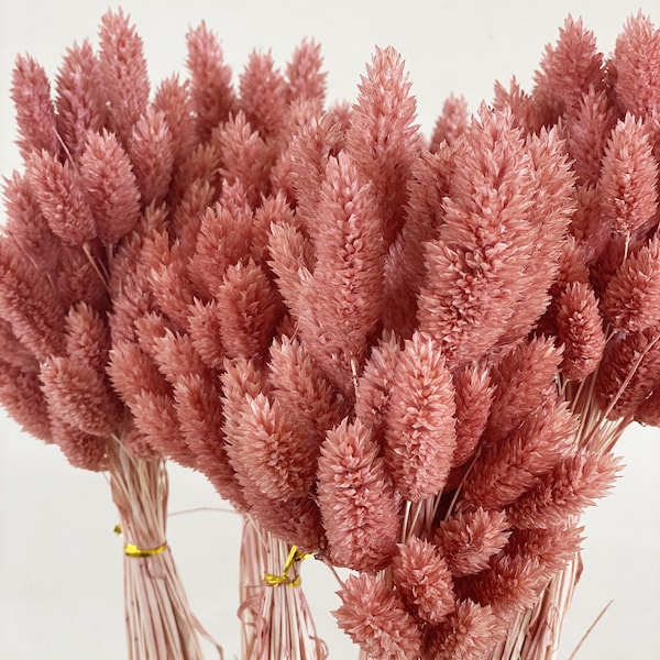 Preserved Caspia Preserved Caspia, Dried Flowers Bunch, Dried Bunch ...