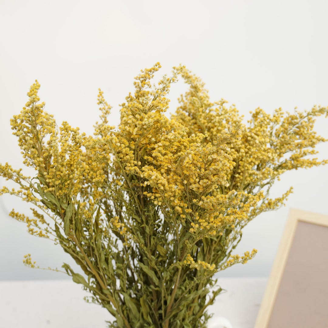 Yellow Flowers, Dried Goldenrod, Yellow Dried Flower, Dried Bouguet ...
