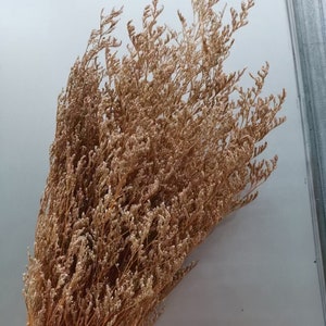 Preserved Caspia Preserved Caspia, Dried Flowers Bunch, Dried Bunch ...