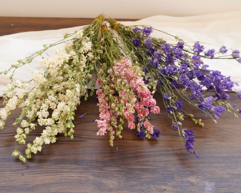 Dried Pink Flowers Purple Bunch Cream Wildflowers - Etsy