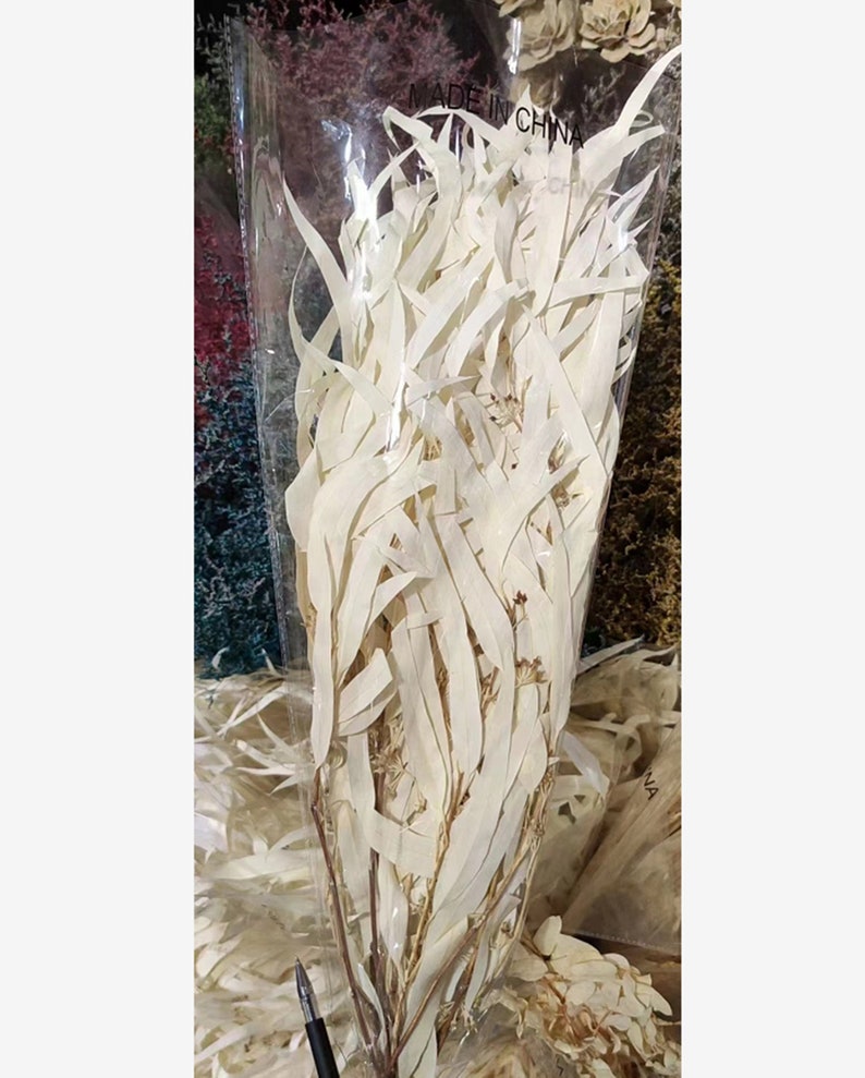 Rust Preserved Washed Silver Dollar Eucalyptus Wedding - Etsy