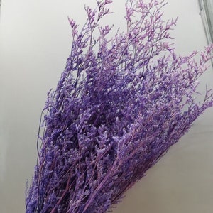 Preserved Caspia Preserved Caspia, Dried Flowers Bunch, Dried Bunch ...