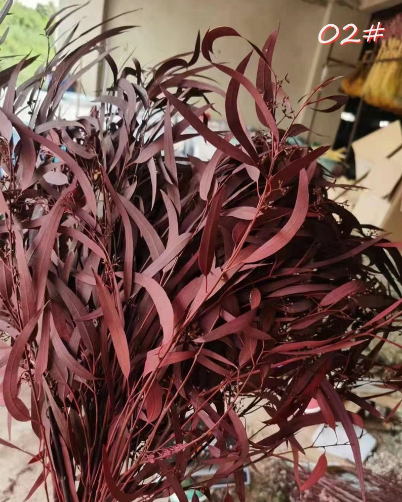 Rust Preserved Washed Silver Dollar Eucalyptus Wedding - Etsy