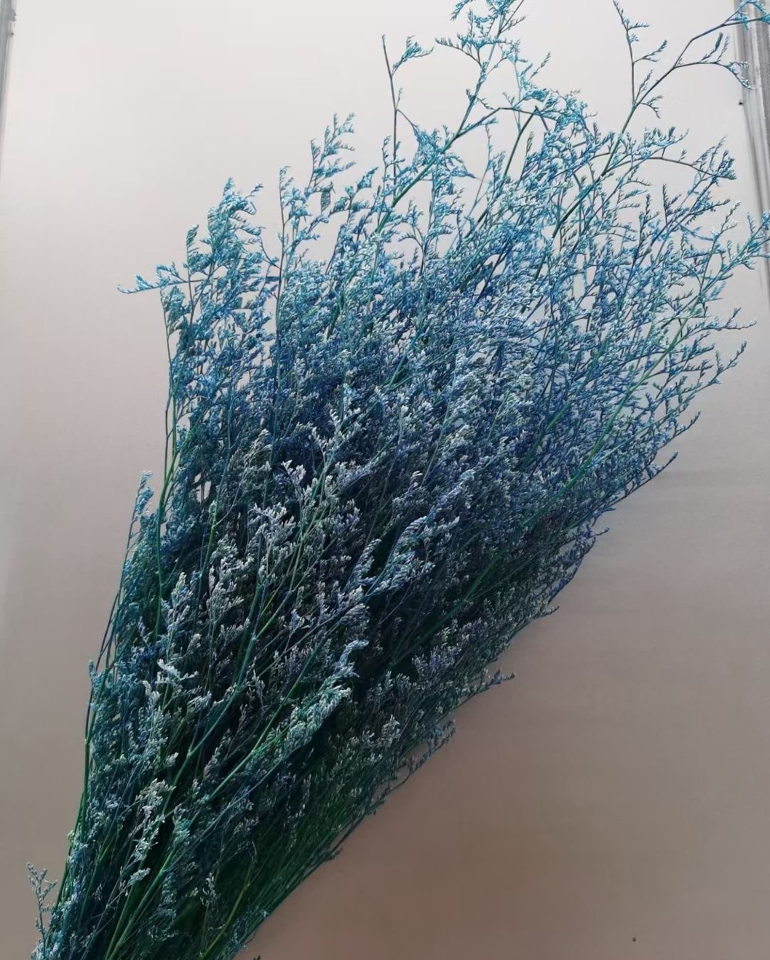 Preserved Caspia Preserved Caspia, Dried Flowers Bunch, Dried Bunch ...