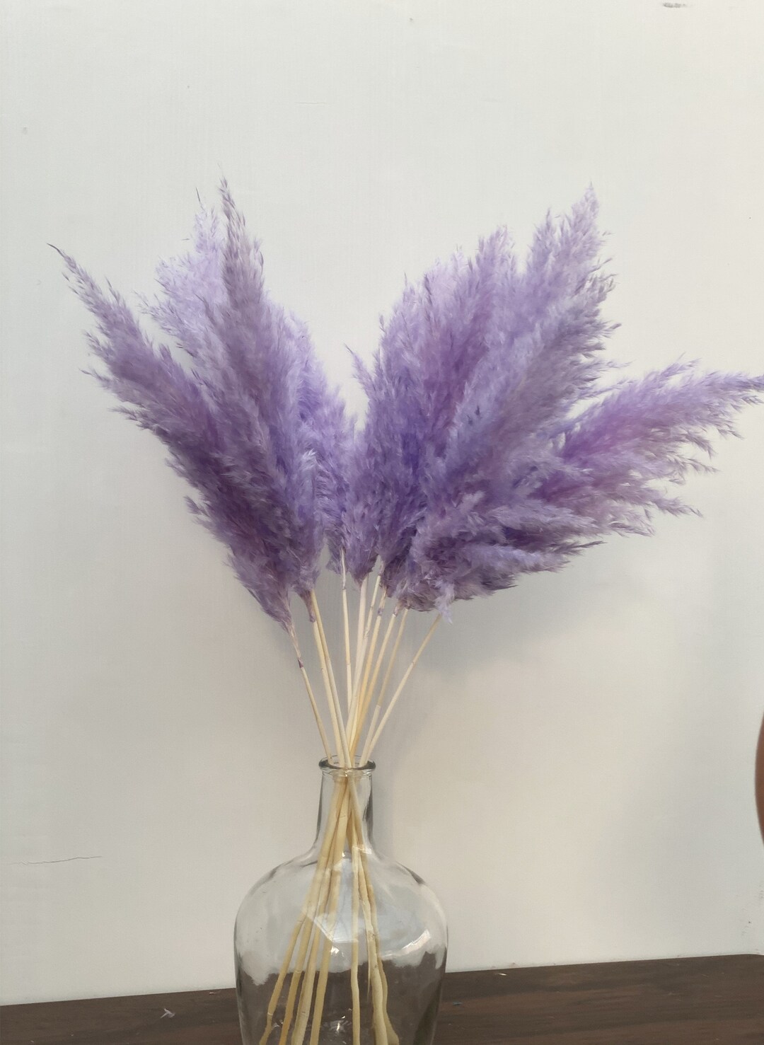 10 X Purple PAMPAS GRASS 24" | Dried Flowers for Home Decor | Wedding ...