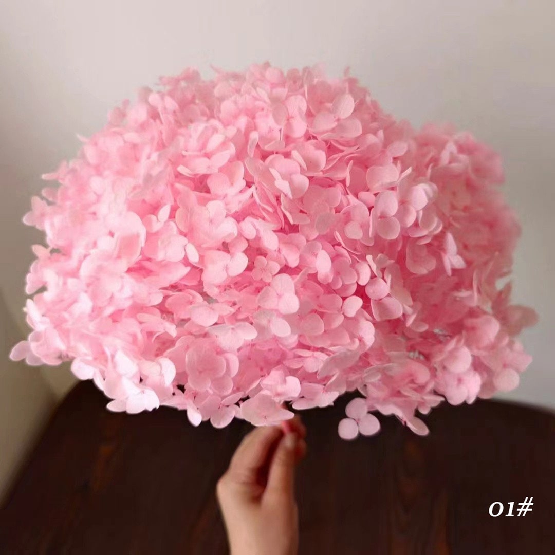 Dried Hydrangea - Hydrangea Flower - Home Gift - Hydrangea Bouquet ...