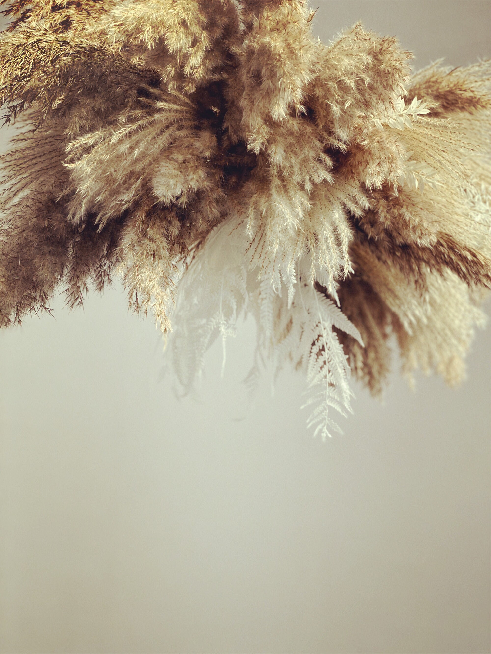 Dried Flower Arrangement Large Chandelier Pampas Grass and Palm Wall ...