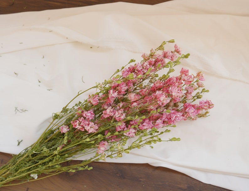 Dried Pink Flowers Purple Bunch Cream Wildflowers - Etsy
