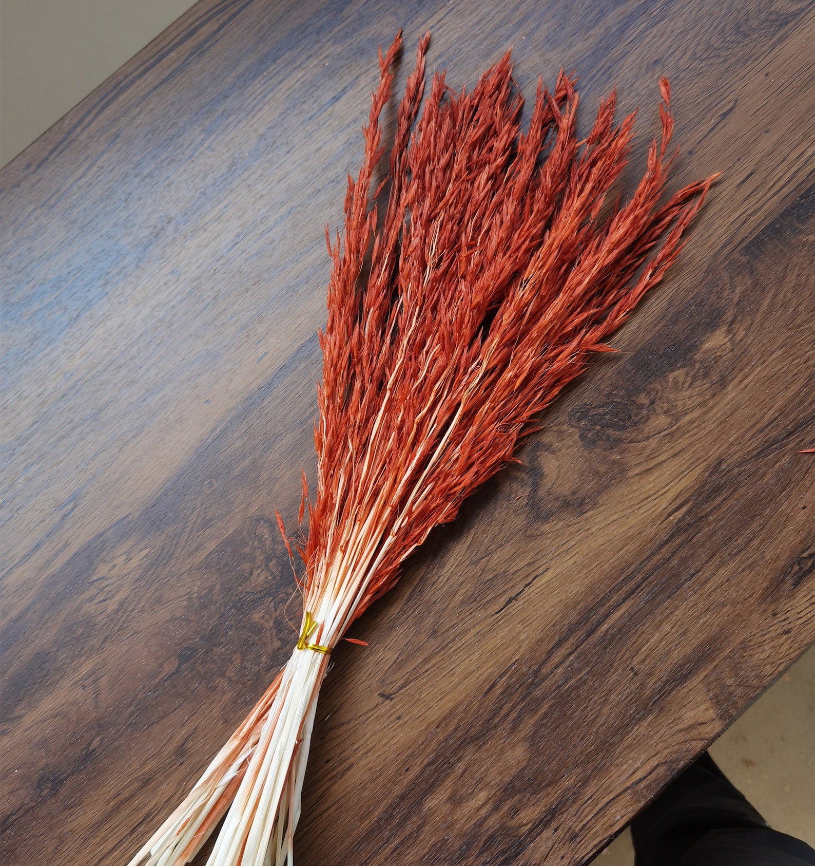 About 50 Stems of Dried Oat/avena Sativa Flowers, White Bleached, Home ...