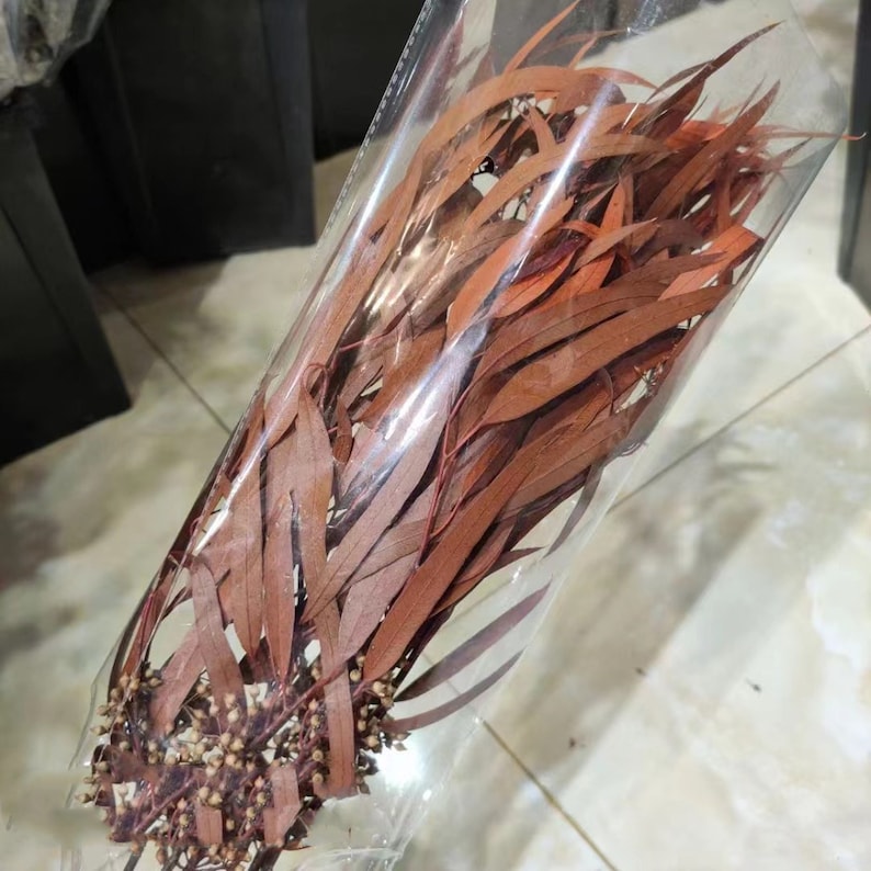 Rust Preserved Washed Silver Dollar Eucalyptus Wedding - Etsy