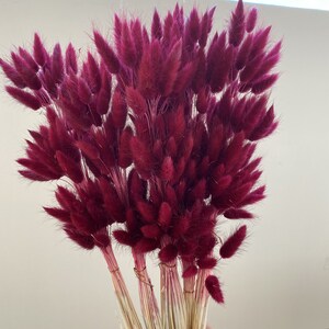 50-60X Rose/maroon Wedding Decor/pampas Grass/terracotta Colored Dried ...
