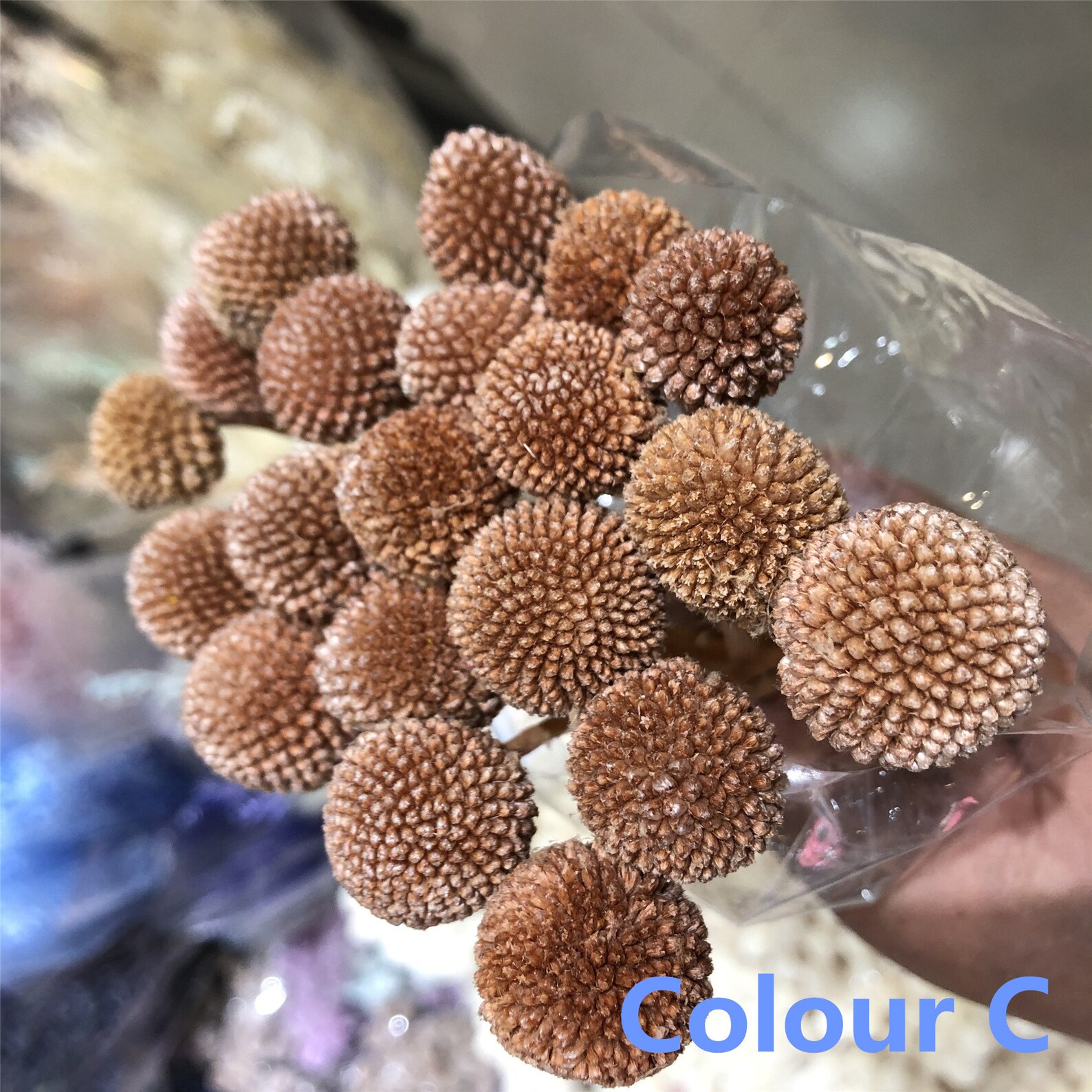 20 Stems / Bunch Billy Ball,floral Arrangements,billy Balls,yellow ...