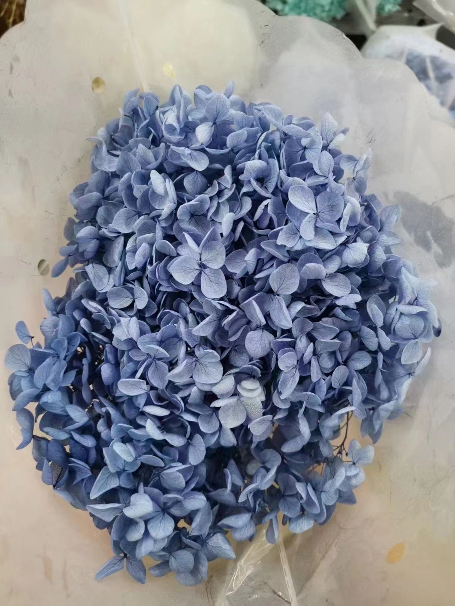Burnt Orange Preserved Hydrangeas | Dried Hydrangea | Orange Flower ...