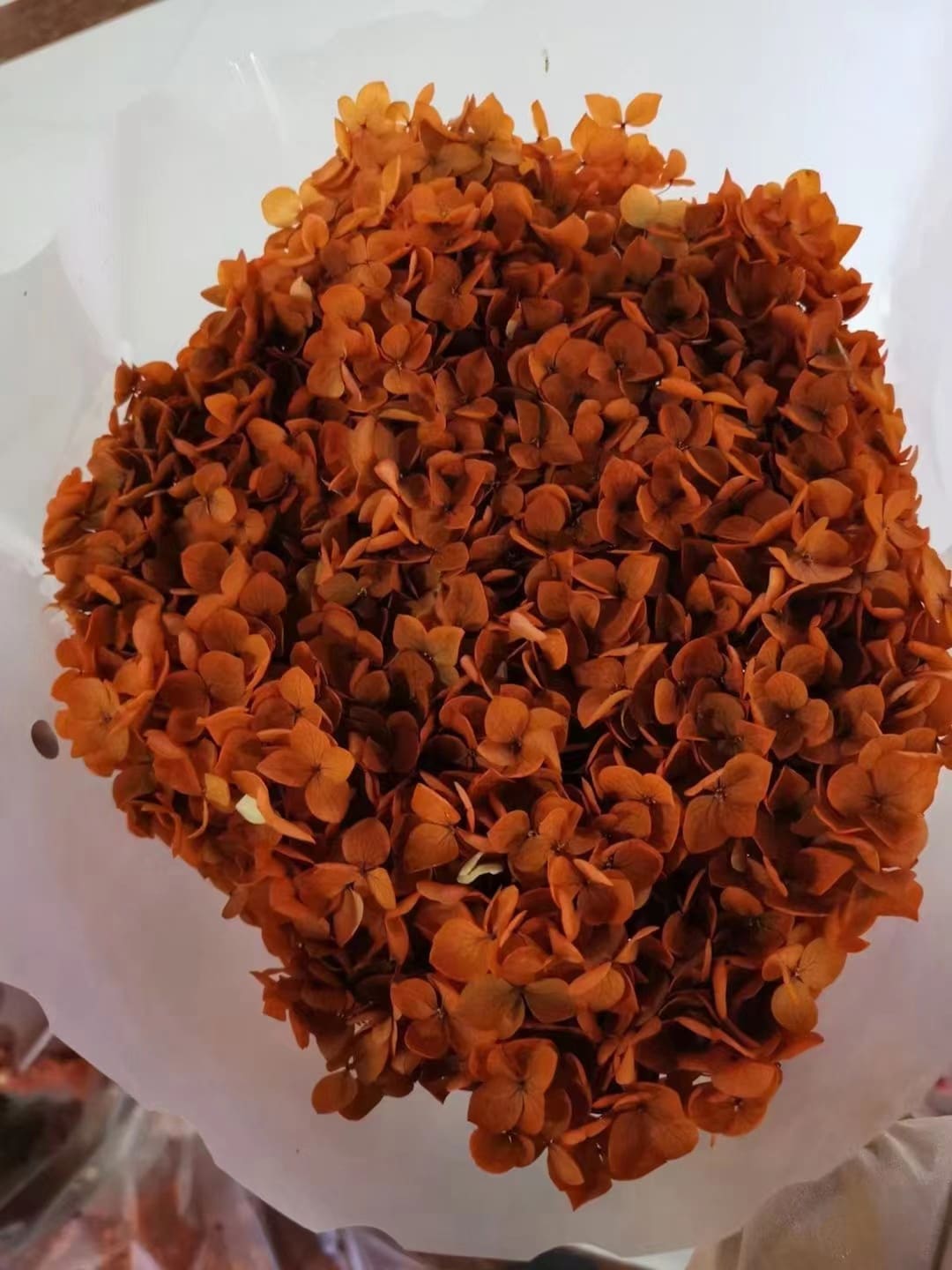 Burnt Orange Preserved Hydrangeas | Dried Hydrangea | Orange Flower ...