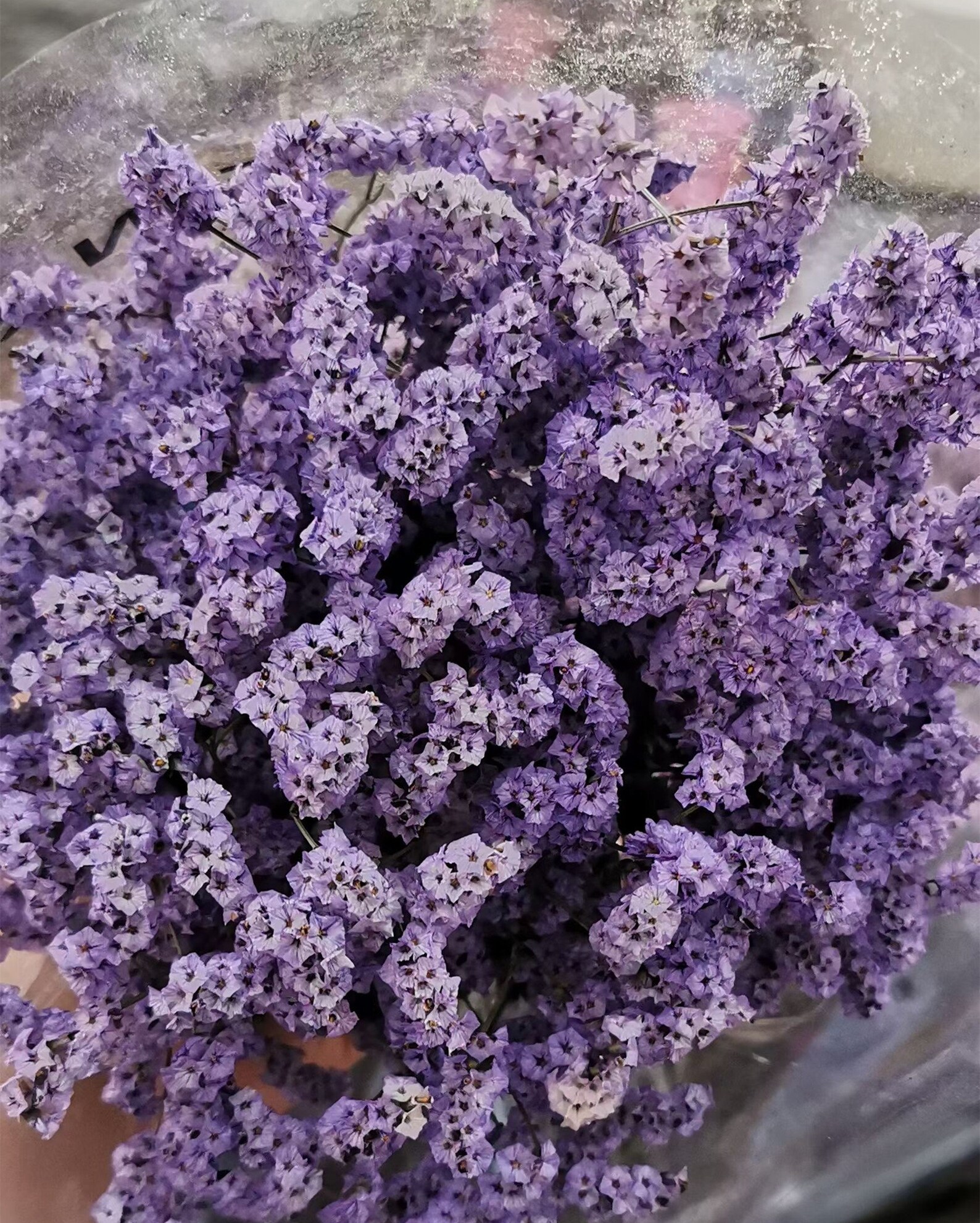 Preserved German Statice Limonium Dried Flower Floral | Etsy
