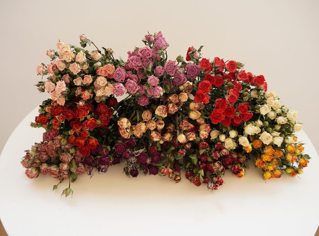 9 Colors Dried Rose Boundle Dry Roses Rose Dried Flowers Wedding Home ...