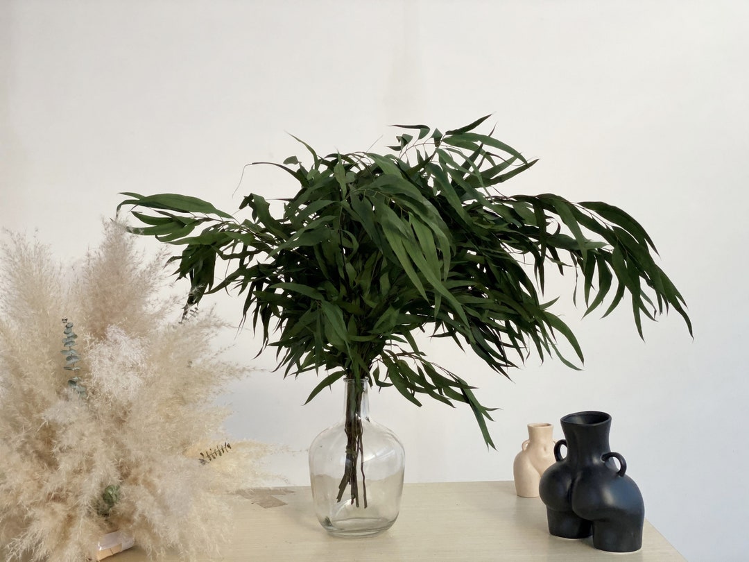 Preserved-dried Feather Willow Eucalyptus || Wedding, Event, Bridal ...