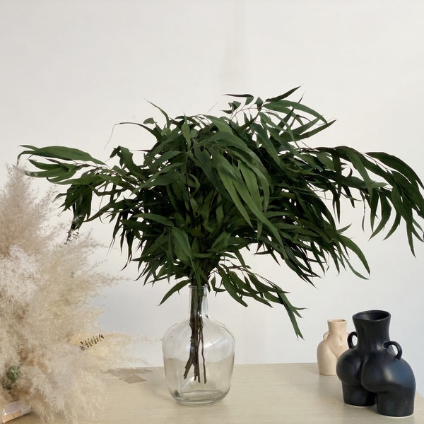 Dried Greenery - Etsy