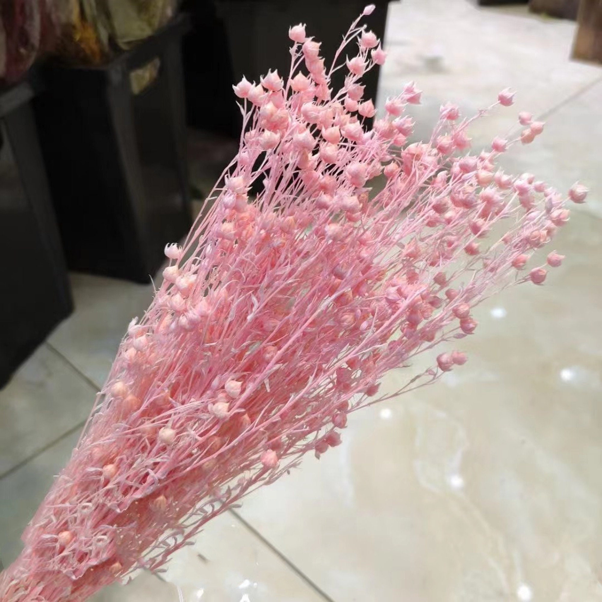 Natural Preserved Rosary Pea Seed Bundle - 18-24" Tall - Etsy