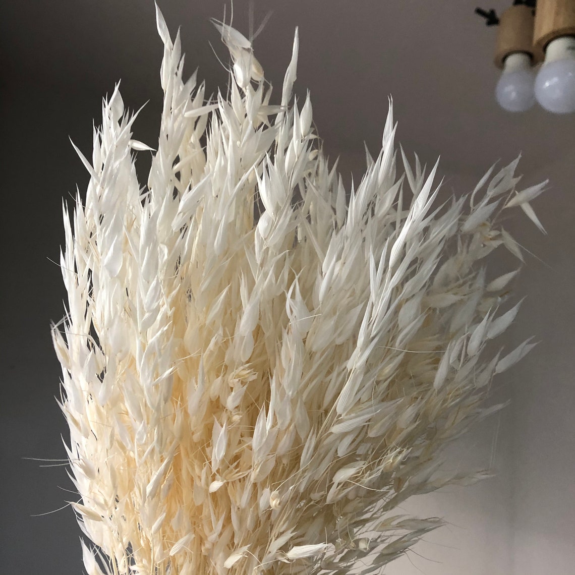 About 50 Stems of Dried Oat/avena Sativa Flowers White - Etsy