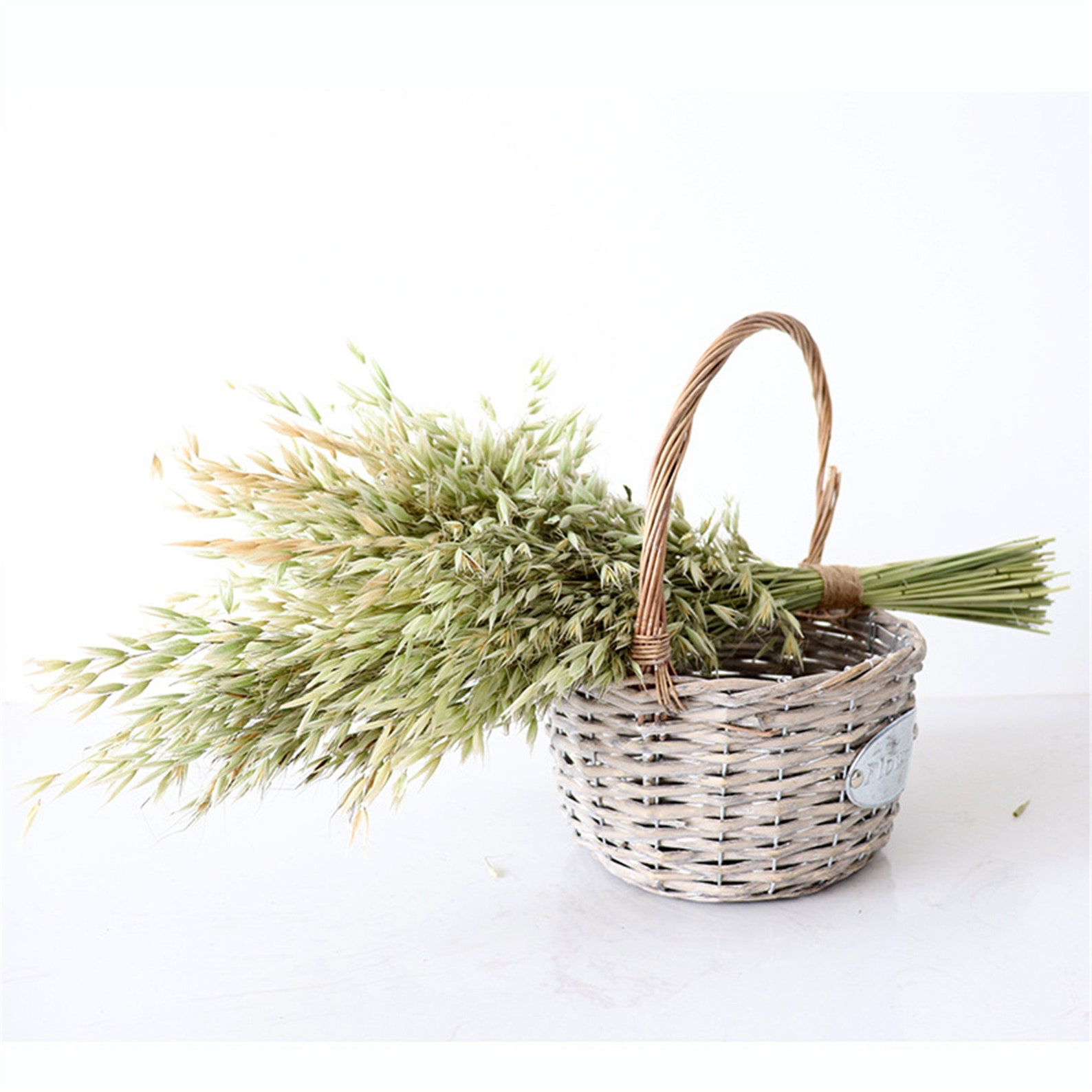 About 50 Stems of Dried Oat/avena Sativa Flowers, White Bleached, Home ...