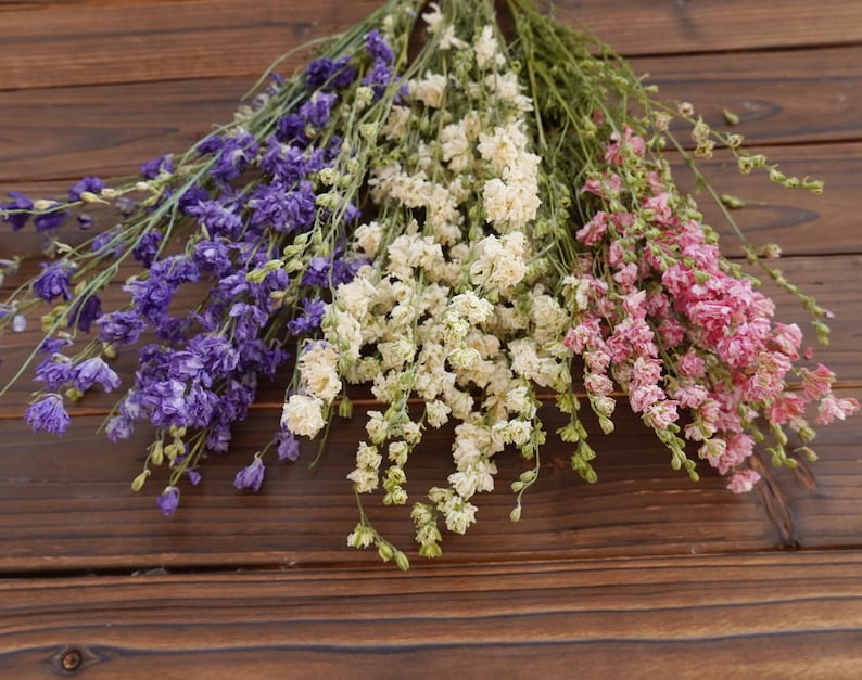 Dried Pink Flowers Purple Bunch Cream Wildflowers - Etsy