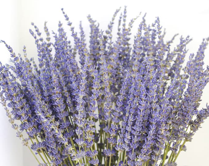 250-300 Stems/bundle, Lavender, High-quality Dried Flowers, Purple ...