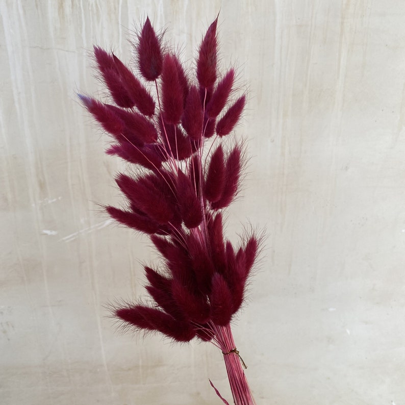 50-60X Rose/maroon Wedding Decor/pampas Grass/terracotta Colored Dried ...