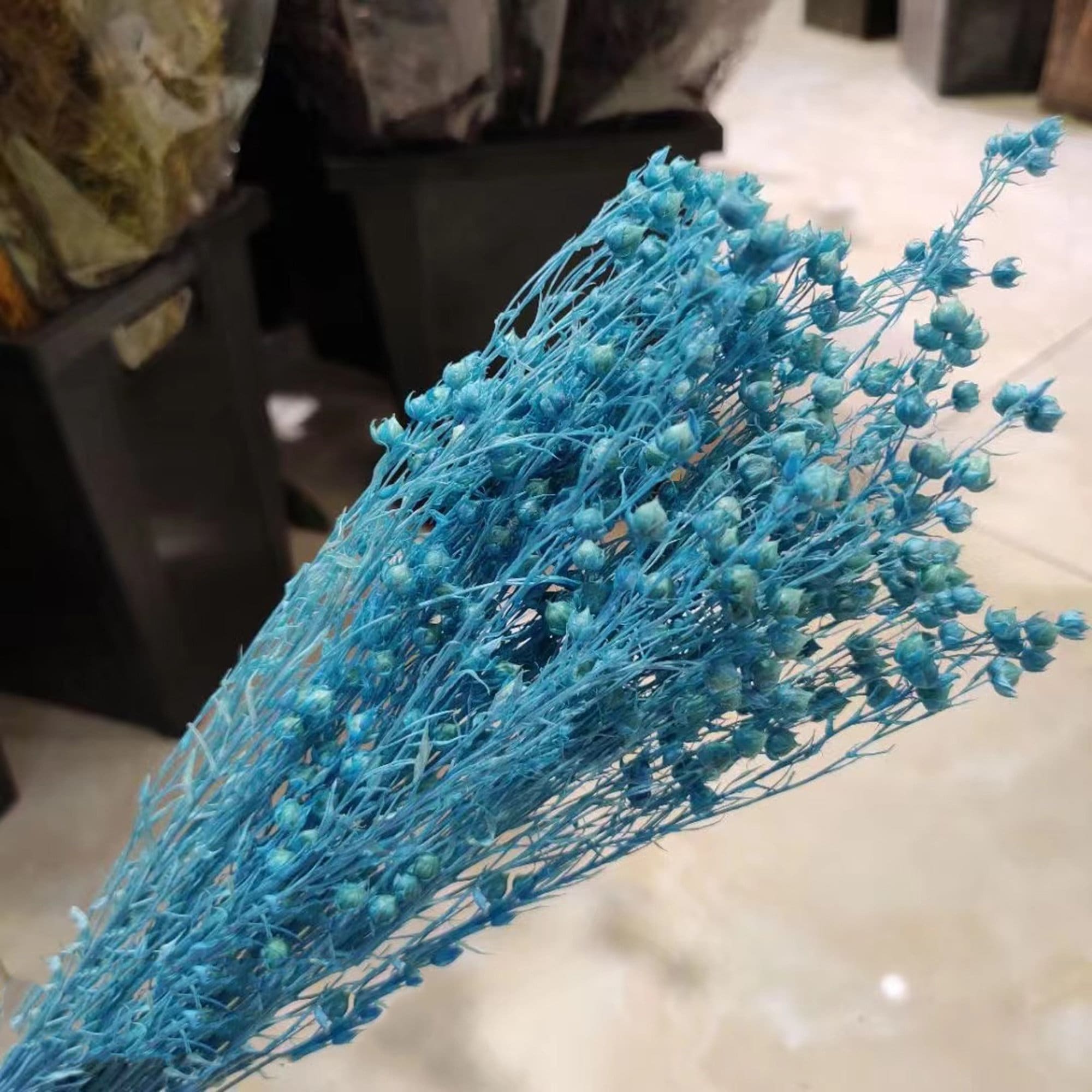 Natural Preserved Rosary Pea Seed Bundle - 18-24" Tall - Etsy